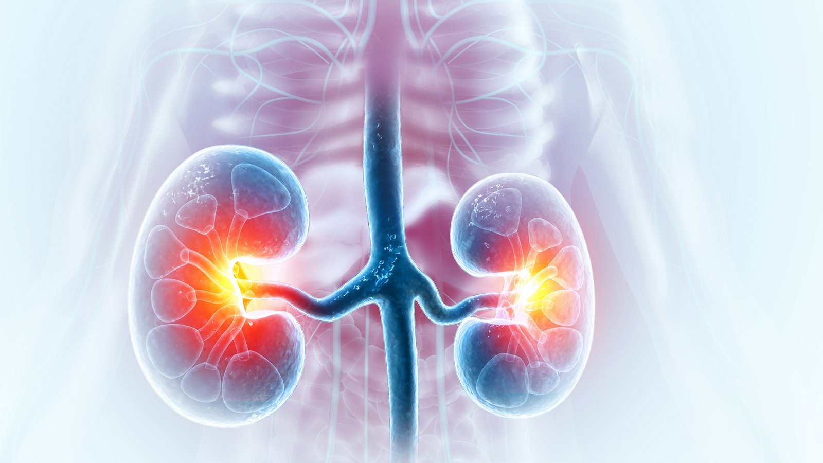 MEDICAL TOURISM – Al Maha polyclinic